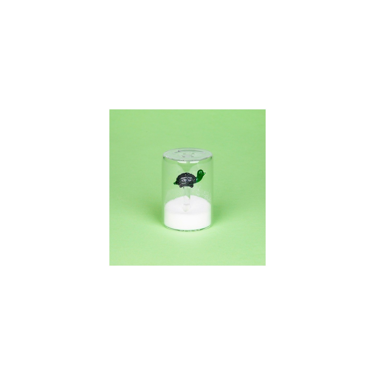SALIERE ATLANTIS TURTLE VERT BALVI